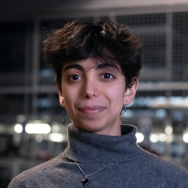 Sirona Technologies - About